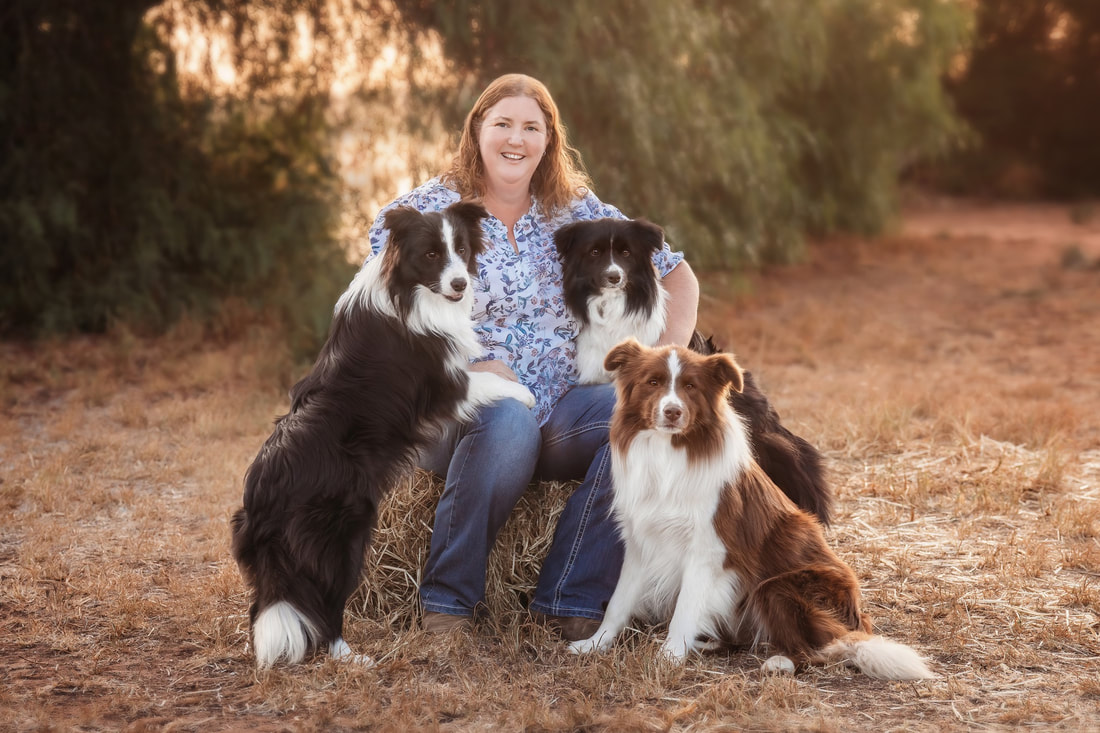 Border Collie Club Committee - Border Collie Club of South Australia Inc.